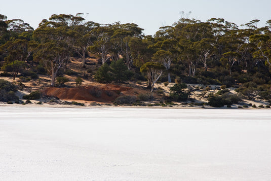 Lake Deborah Shop – Lake Deborah Store.