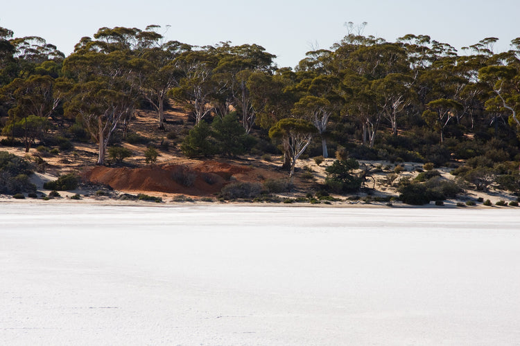 Lake Deborah Shop – Lake Deborah Store.